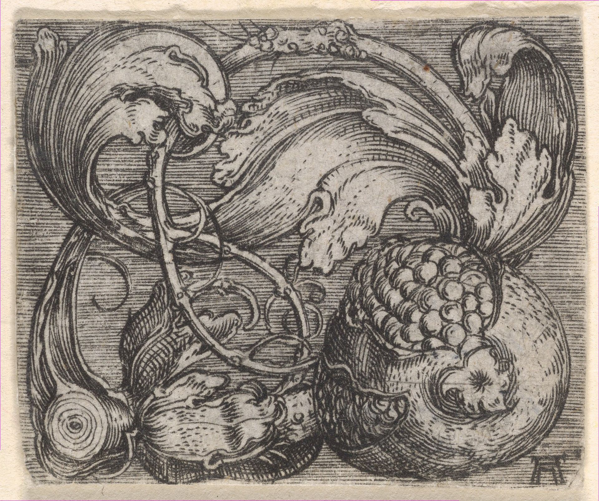 Pomegranate with Tendril - Albrecht Altdorfer | Artera